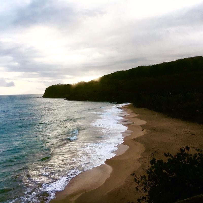 Inovea | Laurence BAVARDAY